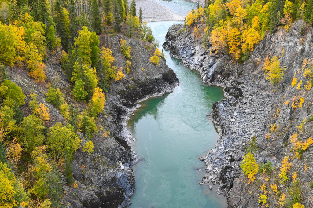 UNDRIP & REFBC – Real Estate Foundation of BC