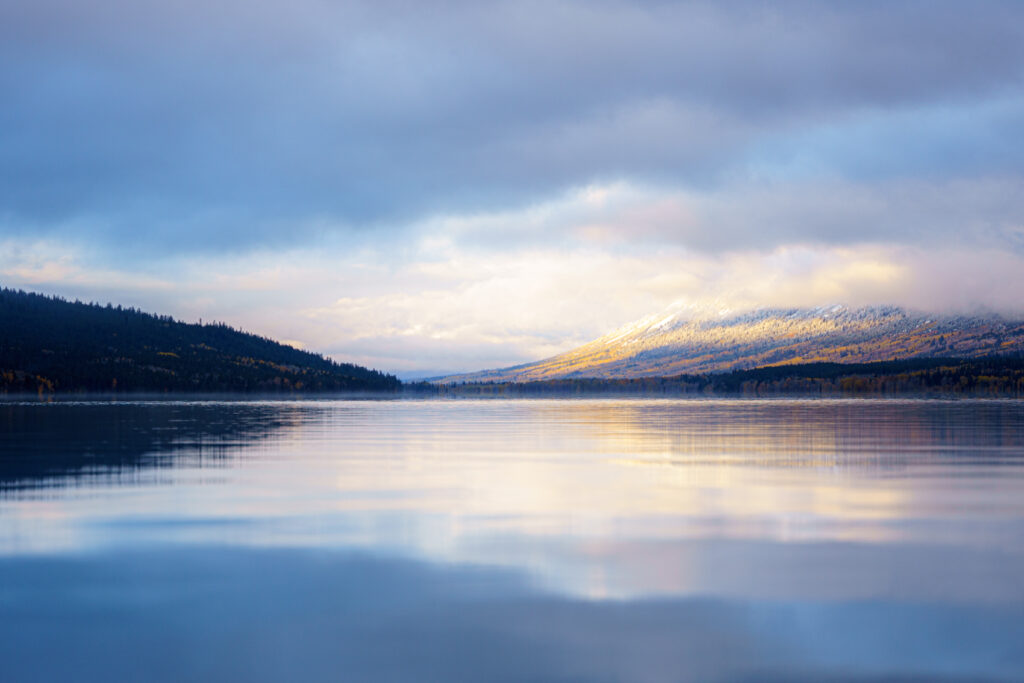 Watershed Security Fund – Real Estate Foundation of BC
